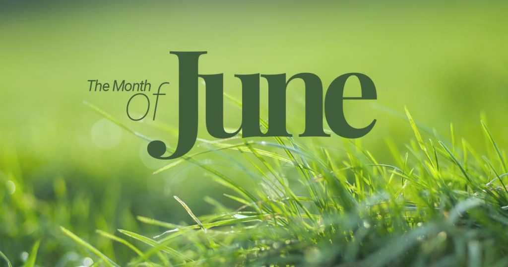 June 2026 Sales — Bessemer City ABC Board
